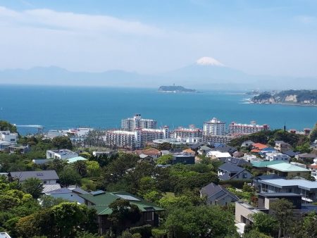 神奈川は自然がいっぱい！大人も子どもも楽しめるおすすめスポットを紹介 - Live-Rary